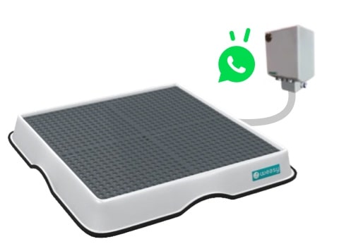 Weasy Cão - O fim do tapetinho higiênico